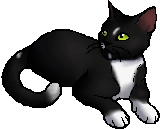 Toadstep | Warriors Wiki | Fandom