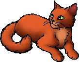 Firefern | Warriors Wiki | Fandom