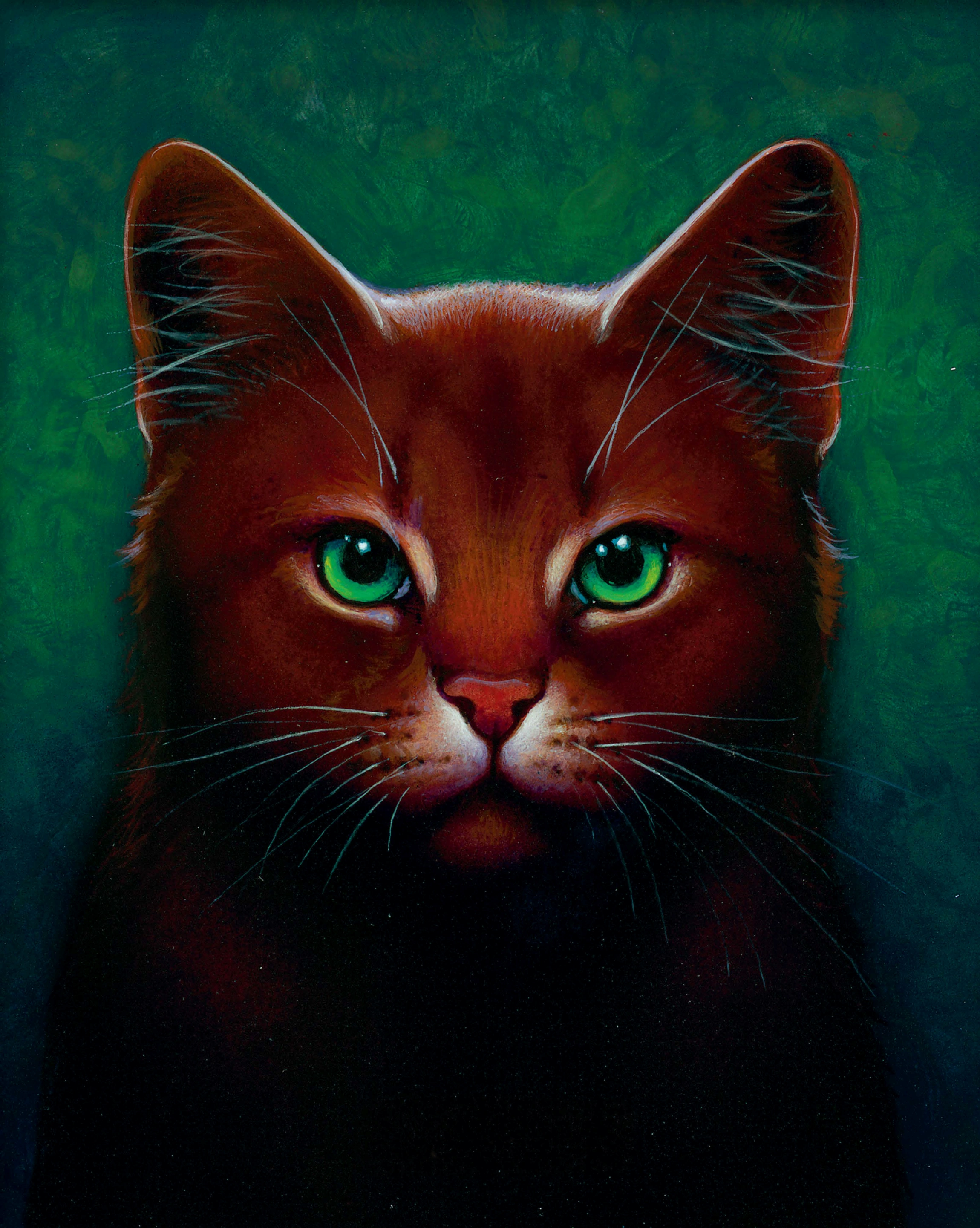 Pinestar | Warriors Wiki | Fandom