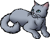 Mistystar | Warriors Wiki | Fandom