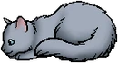 Mistystar | Warriors Wiki | Fandom