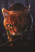 Firestar | Warriors Wiki | Fandom