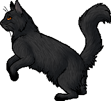 Violet Dawn | Warriors Wiki | Fandom