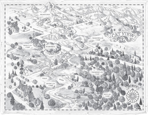 The forest territories | Warriors Wiki | Fandom