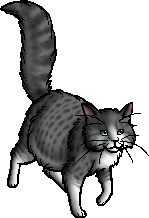Spotfur | Warriors Wiki | Fandom