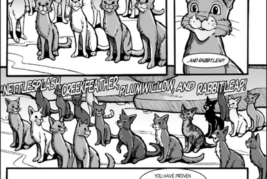 Warrior Cat Apprentice Outline