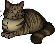 Claw Stretch | Warriors Wiki | Fandom