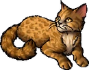 Leopardstar | Warriors Wiki | Fandom