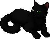 Shadowstar | Warriors Wiki | Fandom