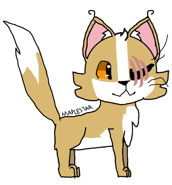 Maplestar | Warriors: Marsh Territories Wiki | Fandom