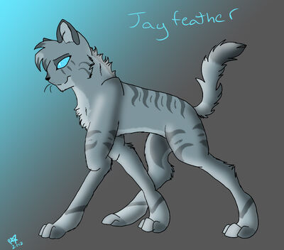 Jayfeather | Warriors Fan-Art Wiki | Fandom