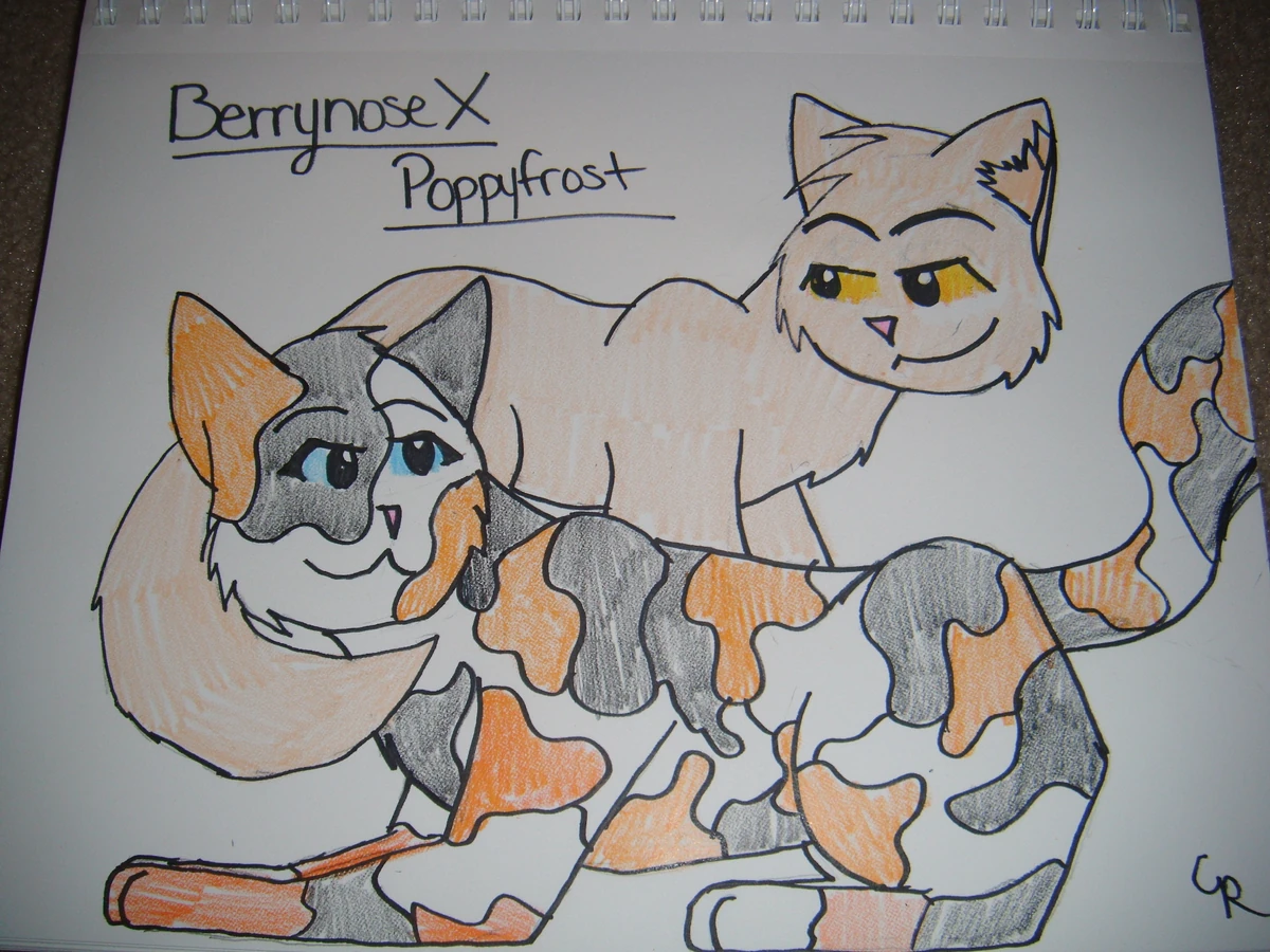 PoppyxBerry | Warriors Fan-Art Wiki | Fandom