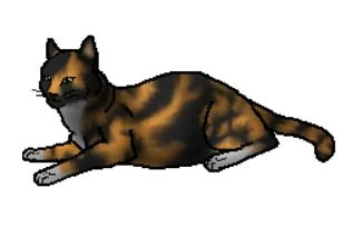 Cherrytail | Warriors By Erin Hunter Wiki | Fandom