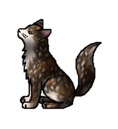 Sweetpaw | Warriors By Erin Hunter Wiki | Fandom