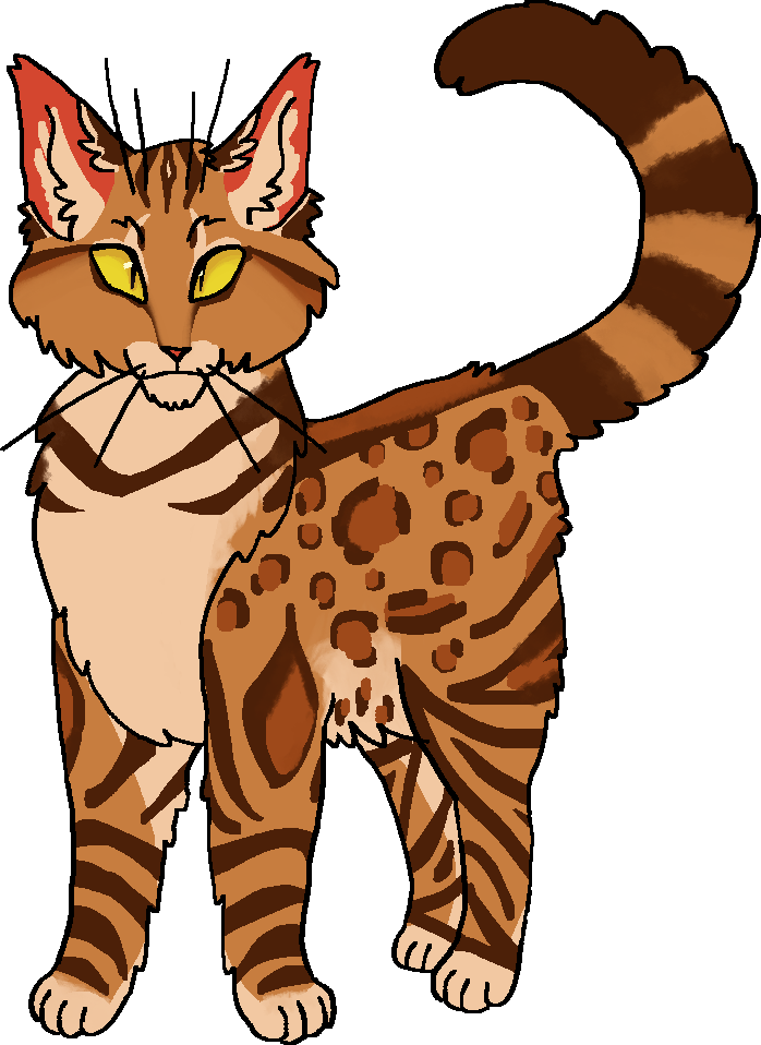 Estrela de Leopardo | Wiki Gatos Guerreiros | Fandom