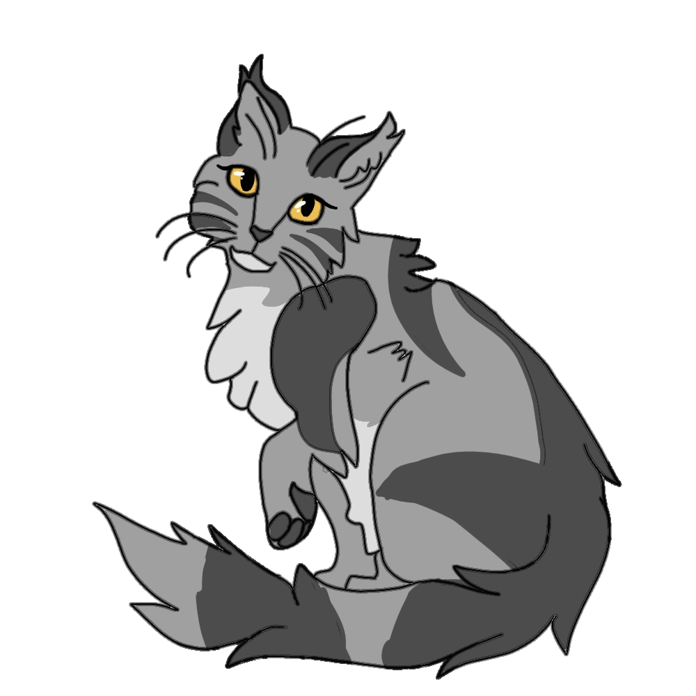 Flor da Lua | Wiki Gatos Guerreiros | Fandom