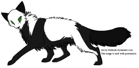 Shadowkit | Warriors Cats Clan Role Play Wiki | Fandom