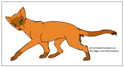 Firepelt | Warriors Cats Clan Role Play Wiki | Fandom