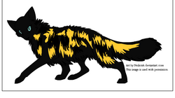 Stormkit | Warriors Cats Clan Role Play Wiki | Fandom