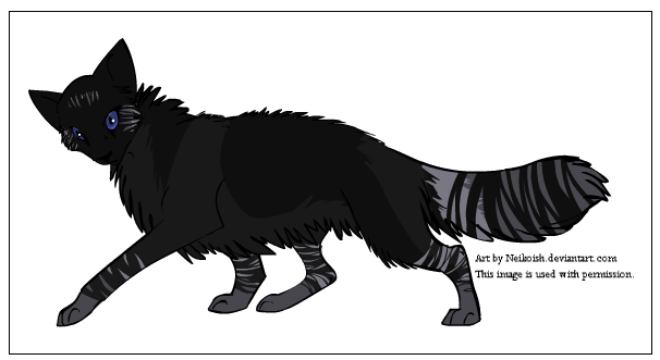 Shadow-whisper | Warriors Cats Clan Role Play Wiki | Fandom