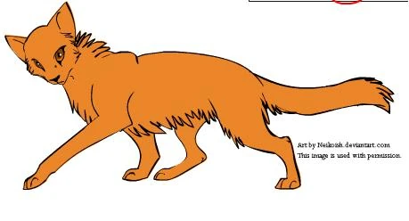 Foxheart | Warriors Cats Clan Role Play Wiki | Fandom