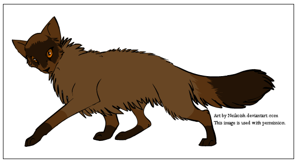 Finchpaw | Warriors Cats Clan Role Play Wiki | Fandom