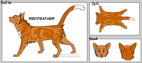 Redfeather SkyClan | Warriors Fanon Wiki | Fandom