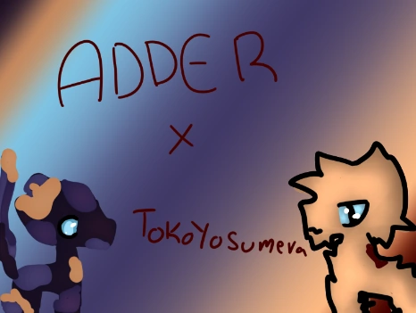 Adder'Anarchy/Adder | Warriors Fanon Wiki | Fandom