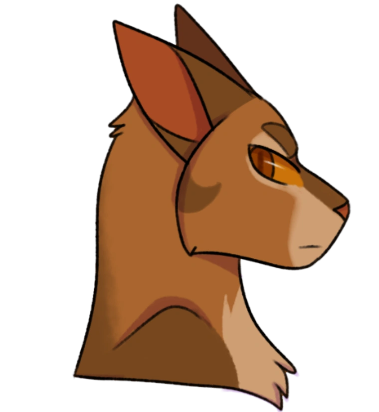Shrewtail | Warriors Fanon Wiki | Fandom
