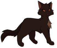 Brokenraven | Warriors Fanon Wiki | Fandom