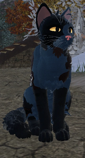 Duskfall | Warriors Fanon Wiki | Fandom