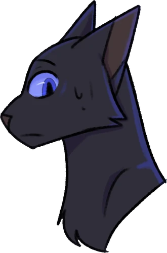 Midnight | Warriors Fanon Wiki | Fandom