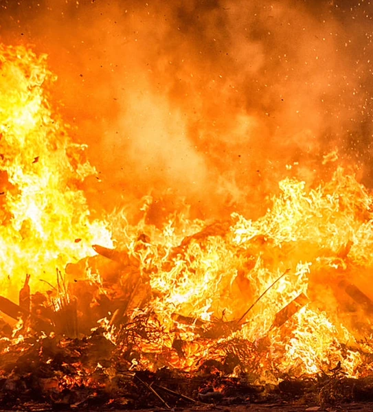 Infernospirit | Warriors Fanon Wiki | Fandom