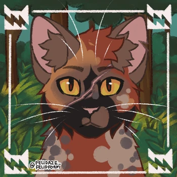 Hawkwing | Warriors Fanon Wiki | Fandom