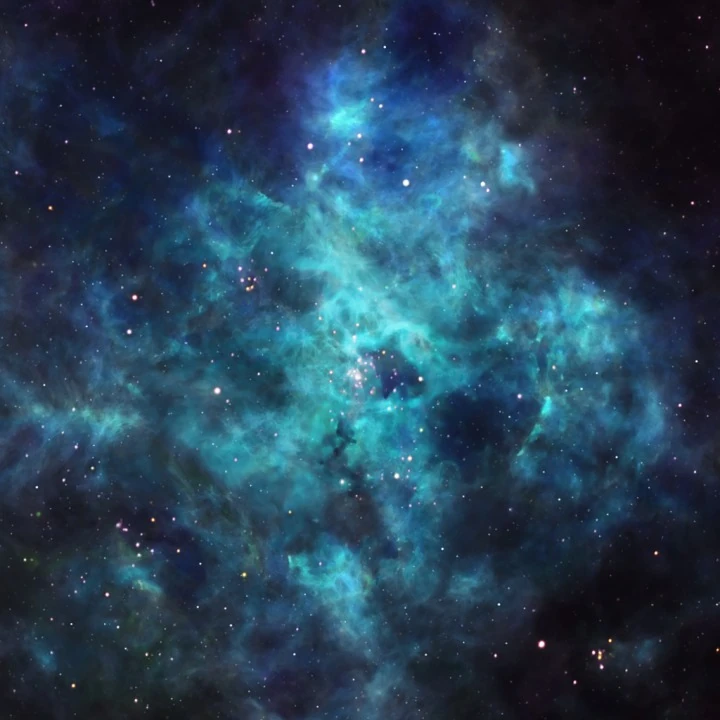 Lunarstorm (Clan Wanderer) | Warriors Fanon Wiki | Fandom