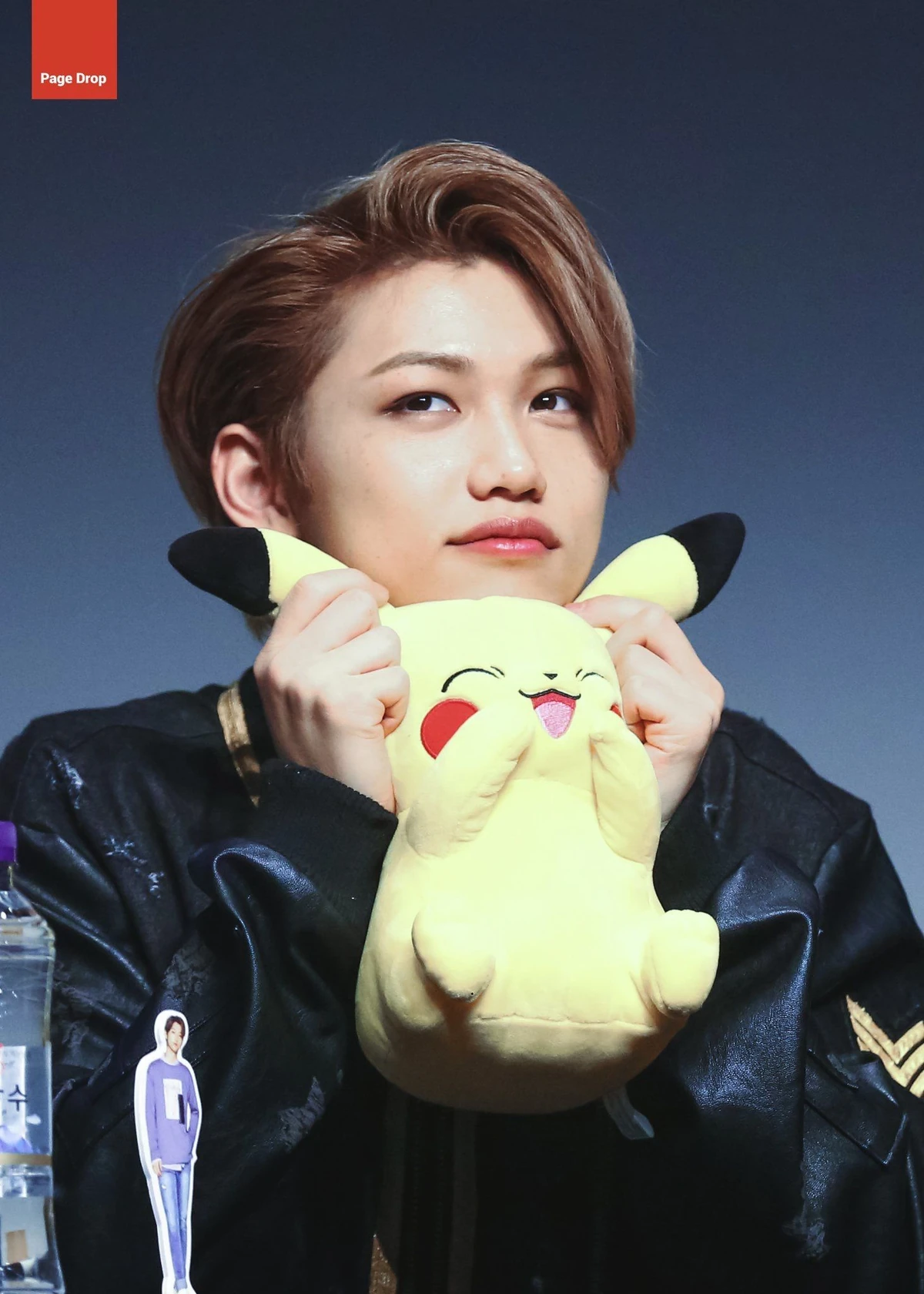 Felixstar | Warriors Fanon Wiki | Fandom