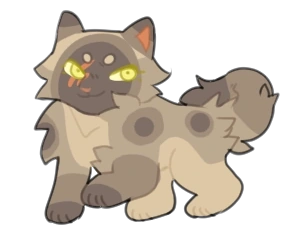 Reedtail | Warriors Fanon Wiki | Fandom