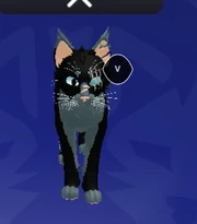 Toughstar | Warriors Fanon Wiki | Fandom