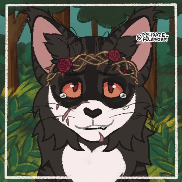 Lunapaw (RC) | Warriors Fanon Wiki | Fandom