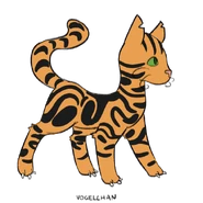 Poppywing | Warriors Fanon Wiki | Fandom