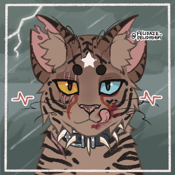 Hawkstar | Warriors Fanon Wiki | Fandom