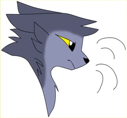 Stormseer | Warriors Fanon Wiki | Fandom