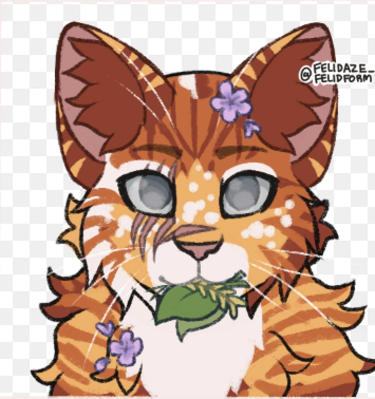 Sunfall | Warriors Fanon Wiki | Fandom