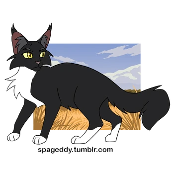 Whitekick | Warriors Fanon Wiki | Fandom