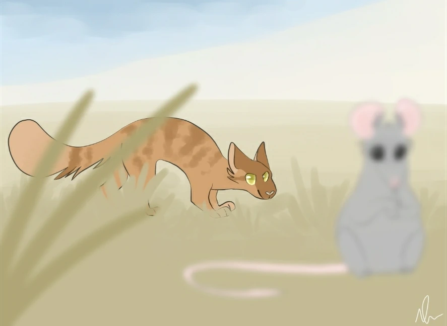 Honeystar WindClan | Warriors Fanon Wiki | Fandom