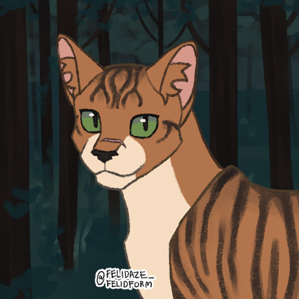 Oakstar | Warriors Fanon Wiki | Fandom