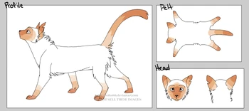 Rayheart | Warriors Fanon Wiki | Fandom