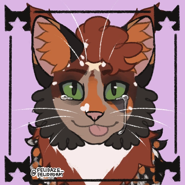 Hollykit | Warriors Fanon Wiki | Fandom