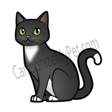 Nightfeather (ThunderClan) | Warriors Fanon Wiki | Fandom