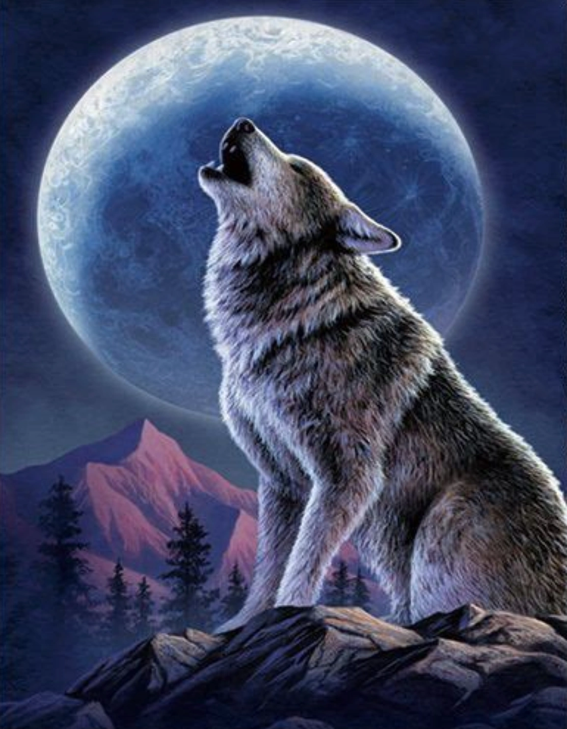 Wolfblaze | Warriors Fanon Wiki | Fandom